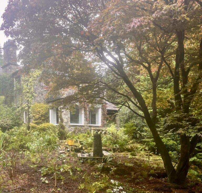 A Complete Guide to Pruning Acers: - Arborscape Environmental Services